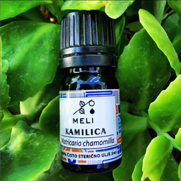 Komunamarket | Meli Plants